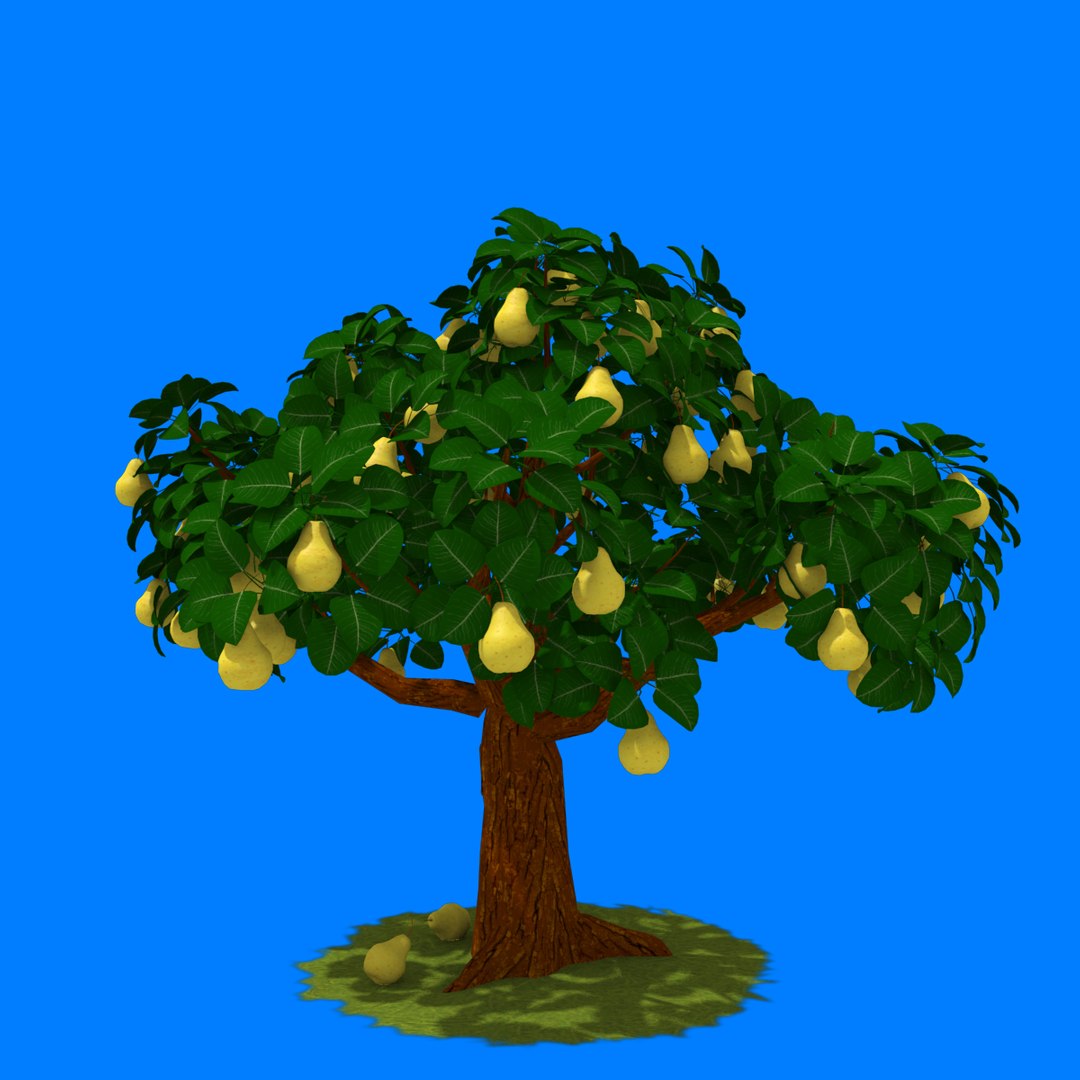 3d pear tree model