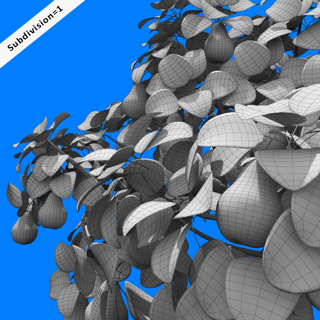 3d Pear Tree Model