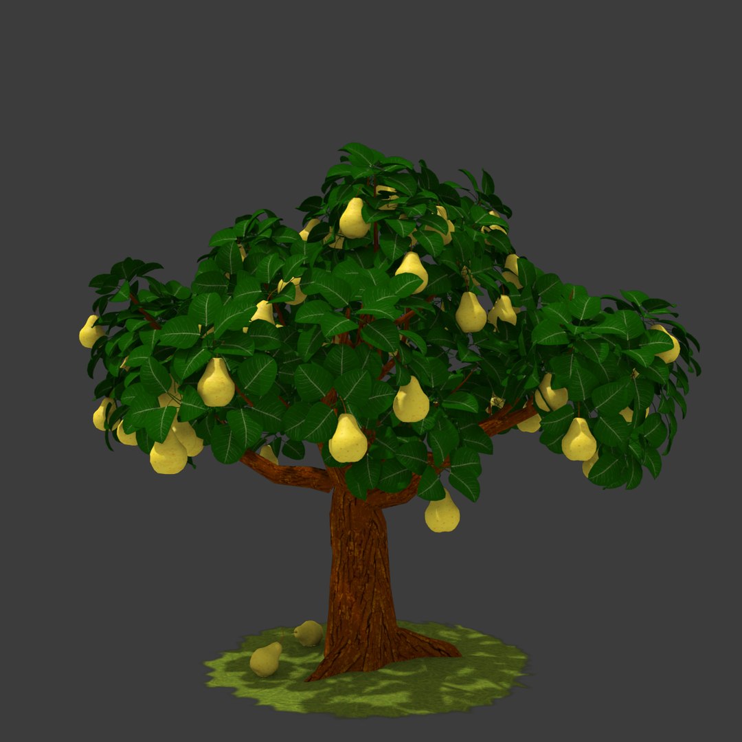 3d pear tree model