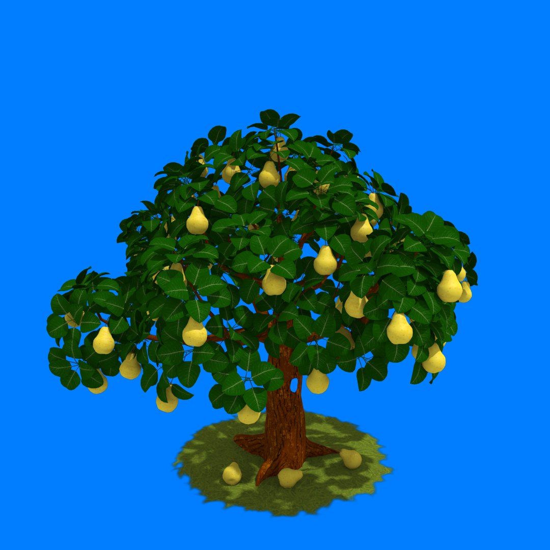 3d Pear Tree Model