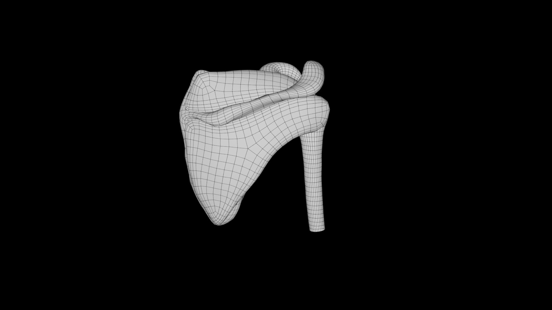 Human Anatomy-Right Upper Shoulder Anterior View Model - TurboSquid 2218471