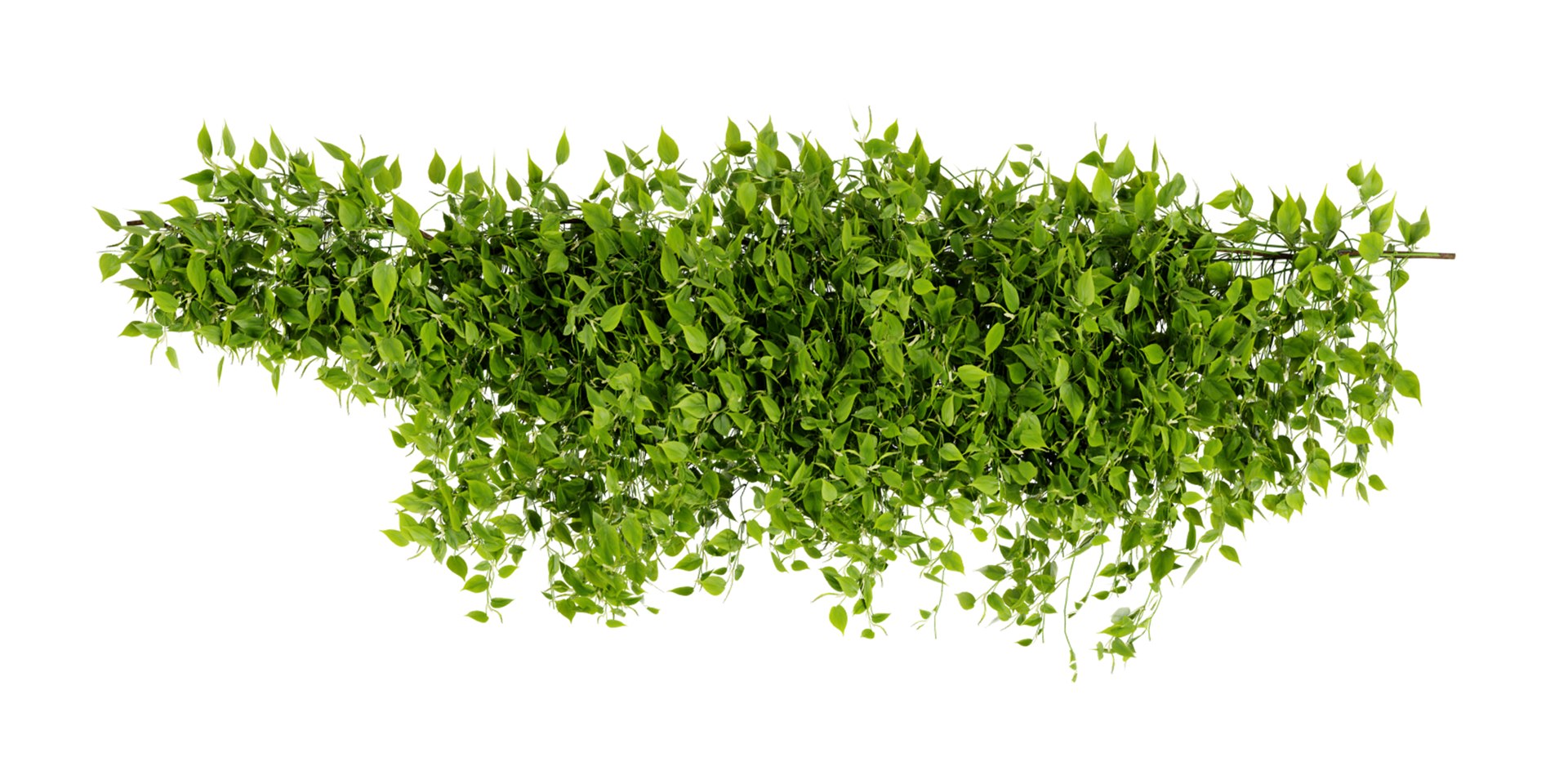 Collection Plant Vol 529 - Blender Model 3D Model - TurboSquid 2131886