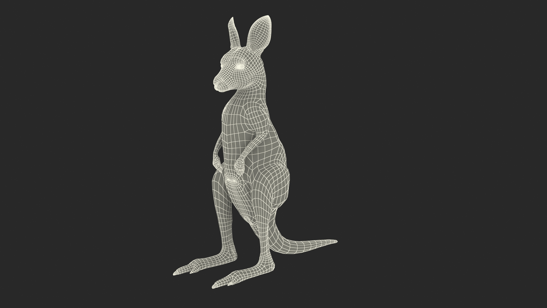 3D Baby Kangaroo In Standing Pose Model - TurboSquid 2248102