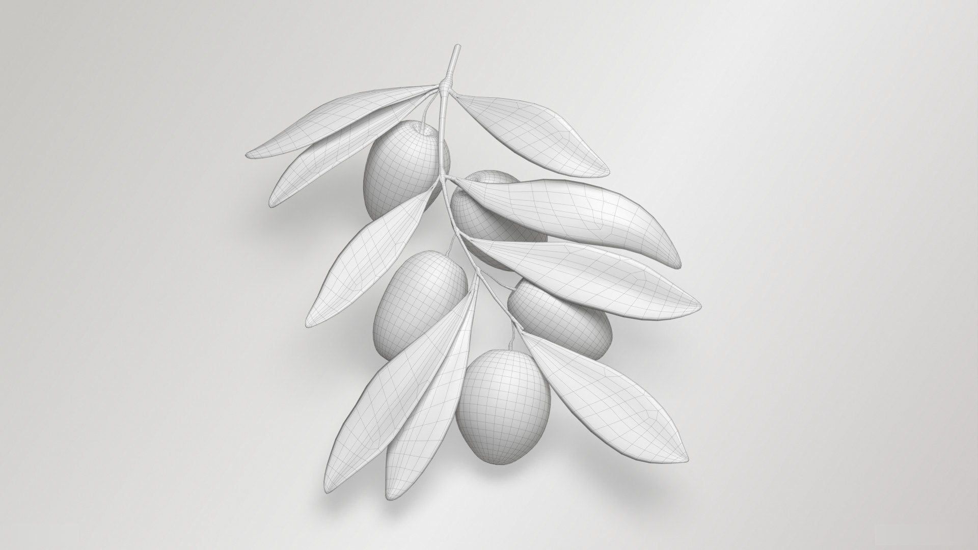 Green Olive Branch 3D Model - TurboSquid 2267946