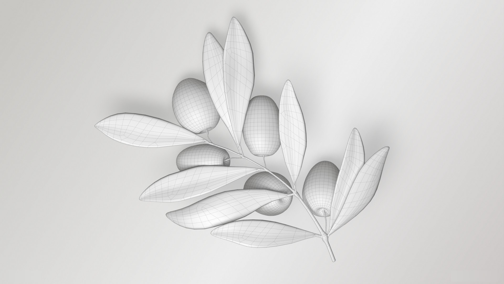 Green Olive Branch 3D Model - TurboSquid 2267946