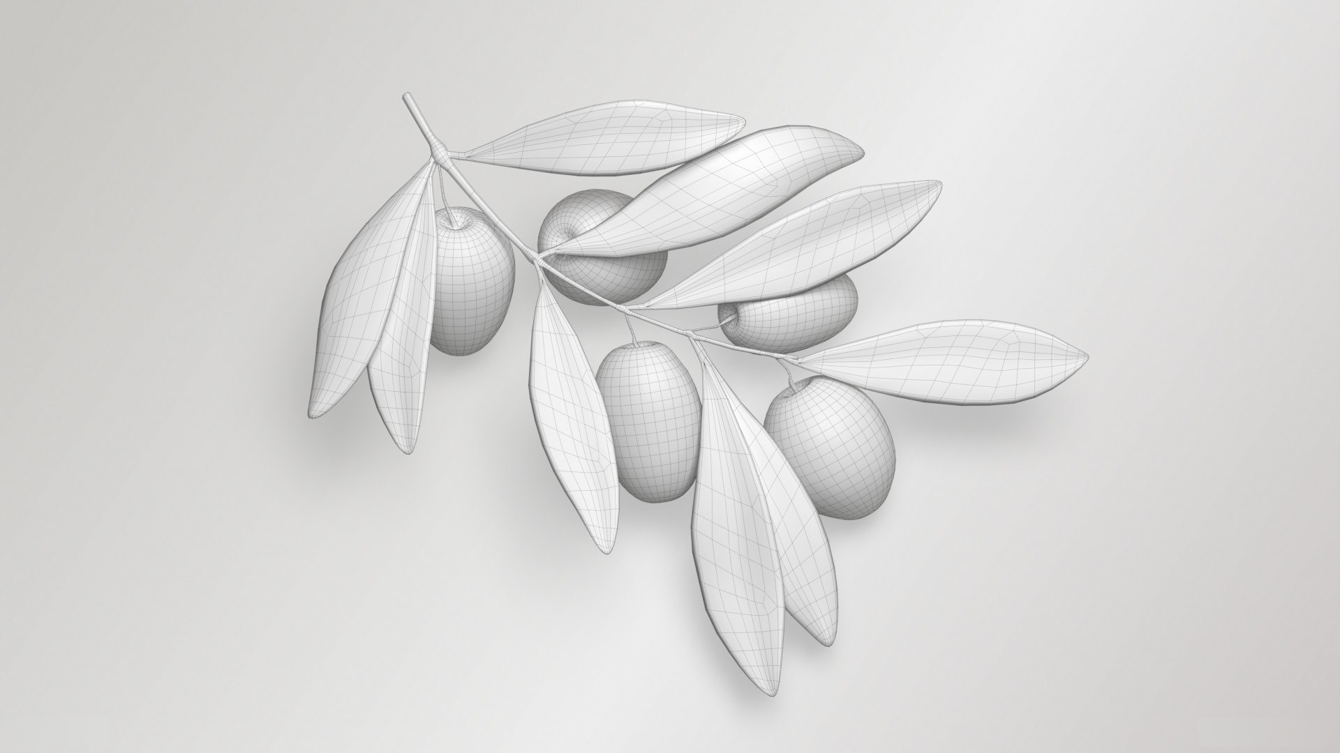 Green Olive Branch 3D Model - TurboSquid 2267946