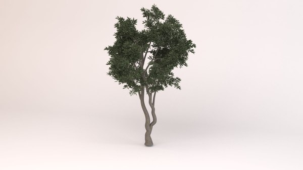 Trees plants 3D model - TurboSquid 1656418