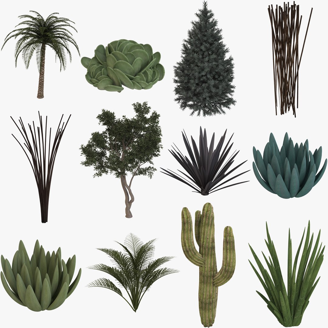 Trees plants 3D model - TurboSquid 1656418