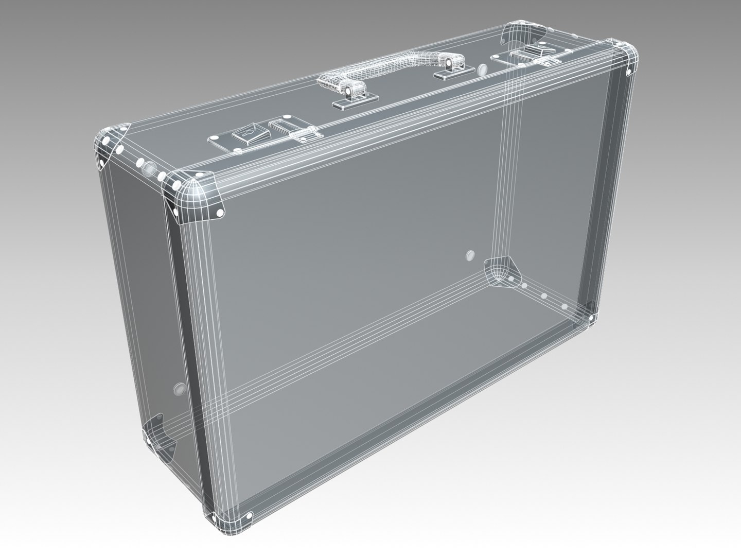 3d Model Case Old