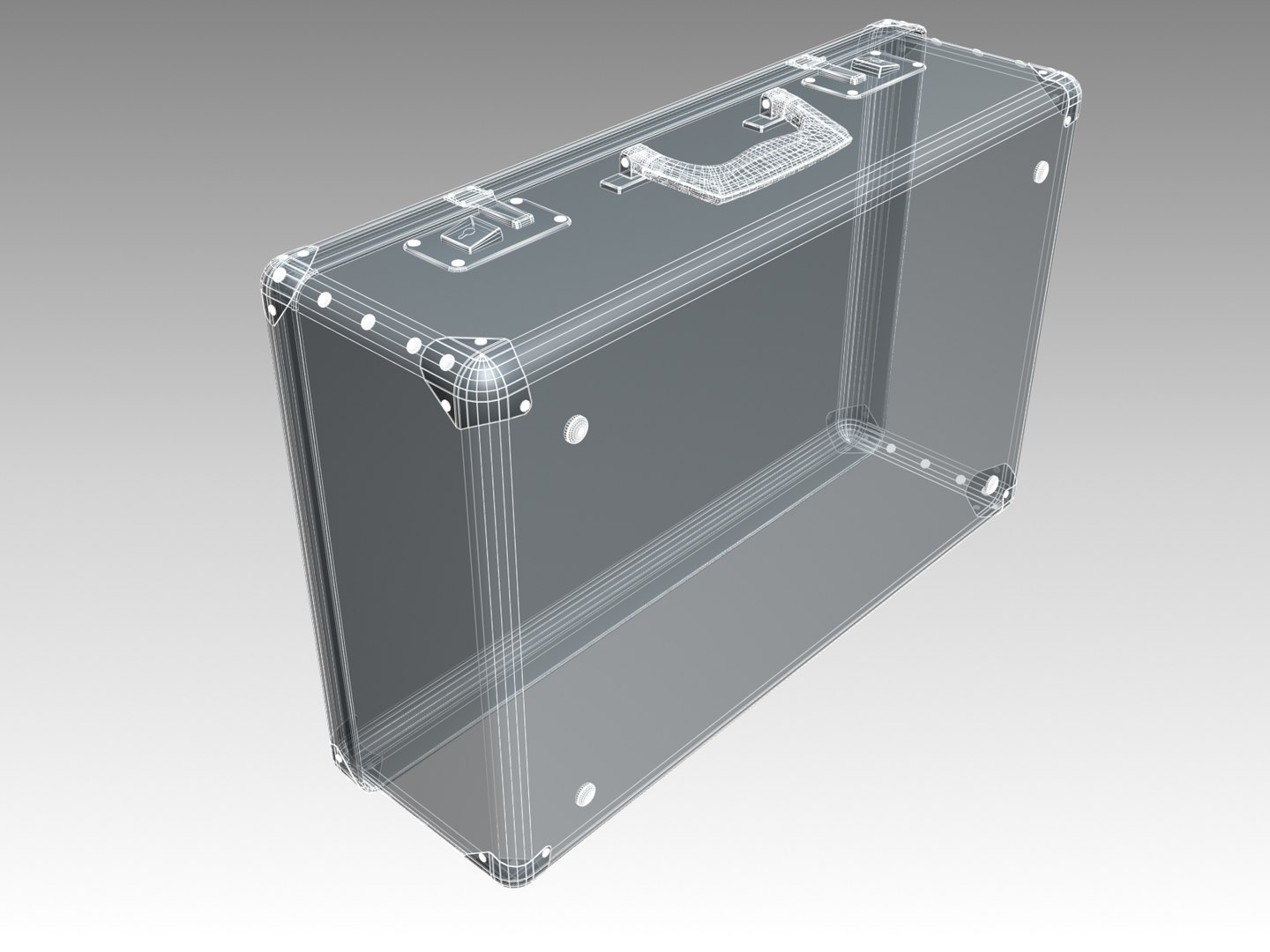3d Model Case Old