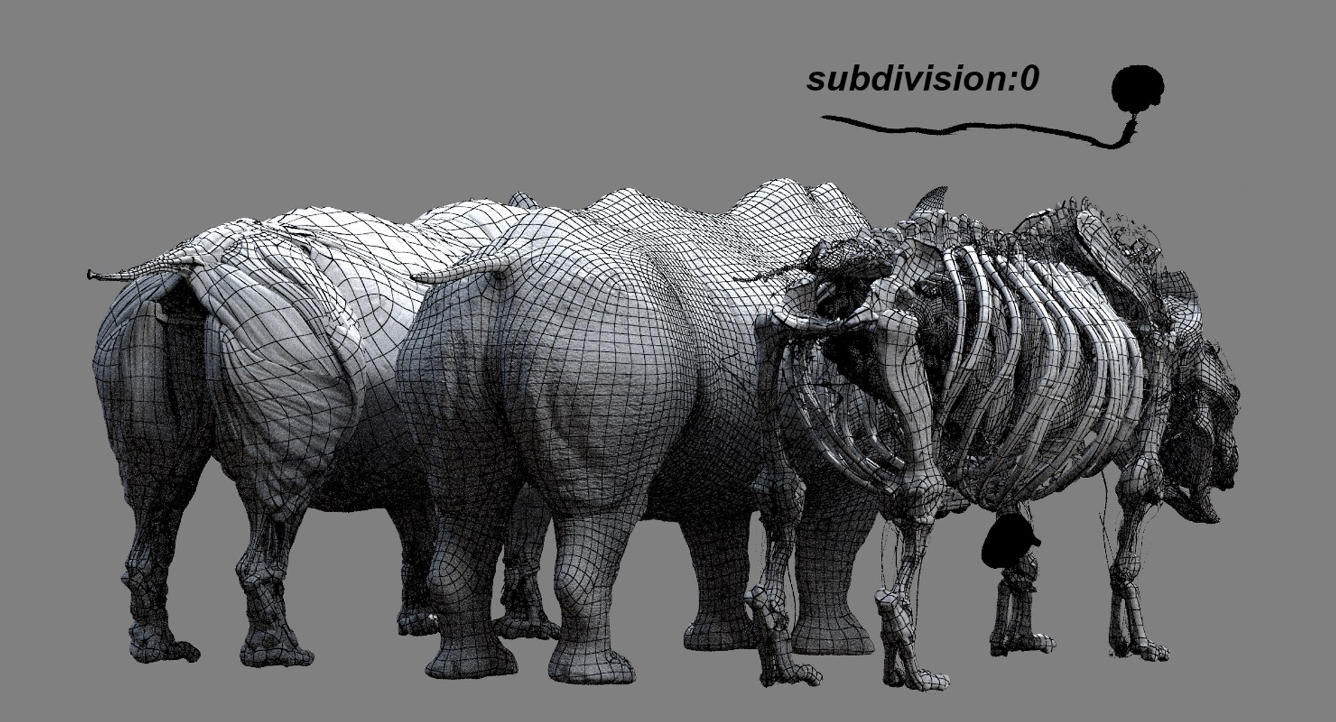 Rhino Anatomy Model - TurboSquid 1386949