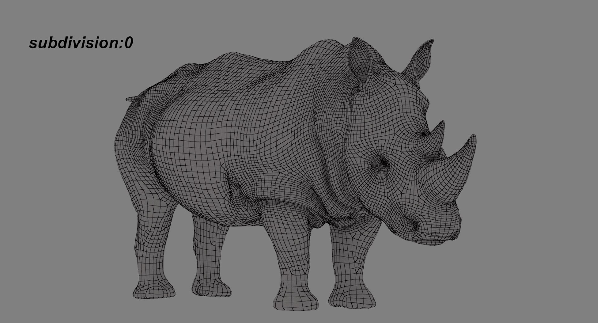 Rhino Anatomy Model - TurboSquid 1386949