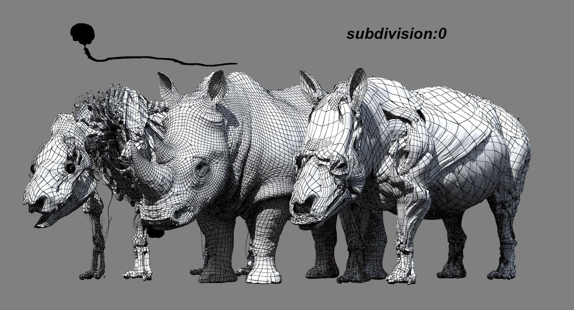 Rhino Anatomy Model - TurboSquid 1386949