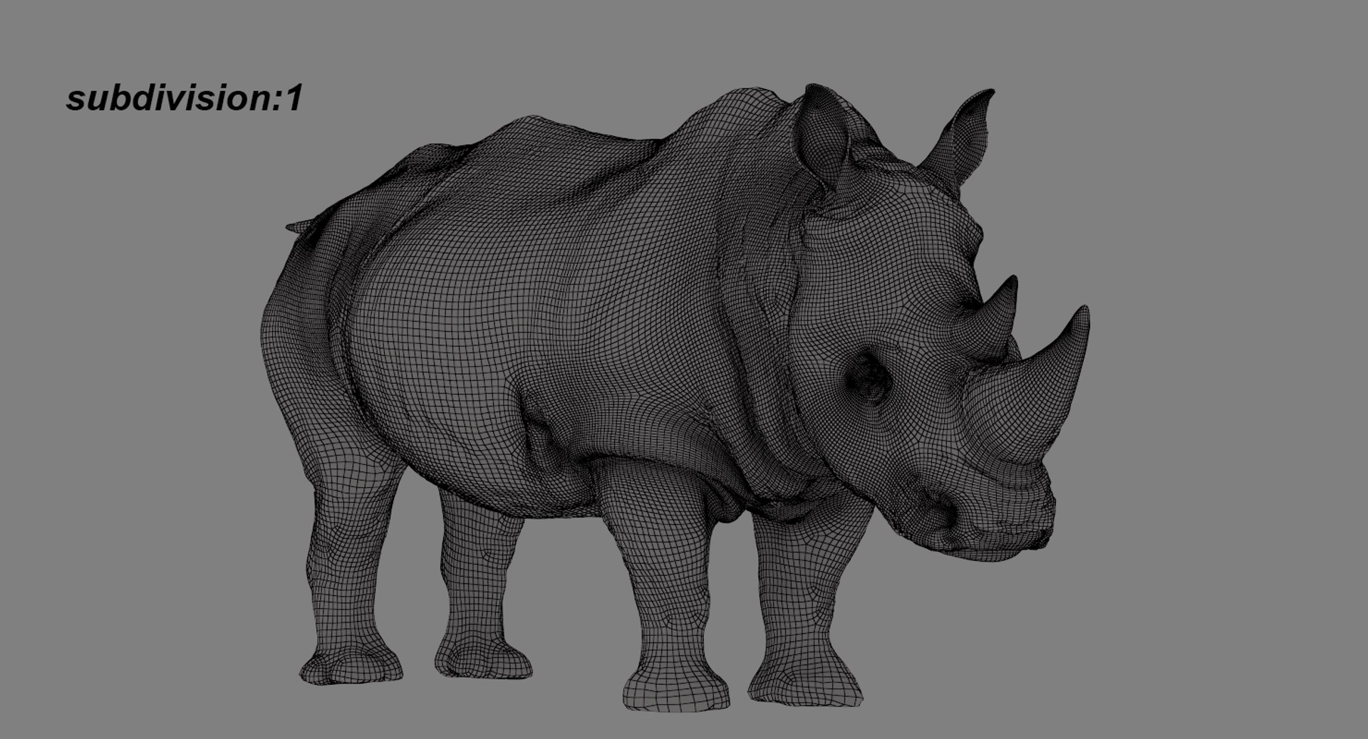 Rhino Anatomy Model - TurboSquid 1386949