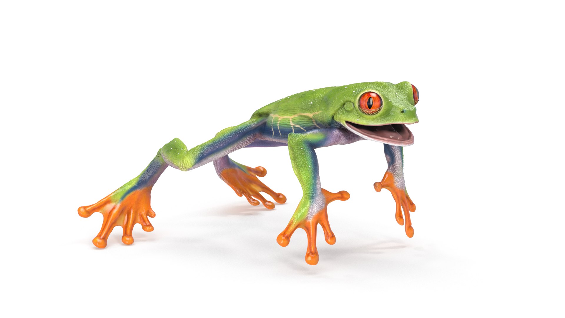3D Tree Frogs Collection - TurboSquid 2136794