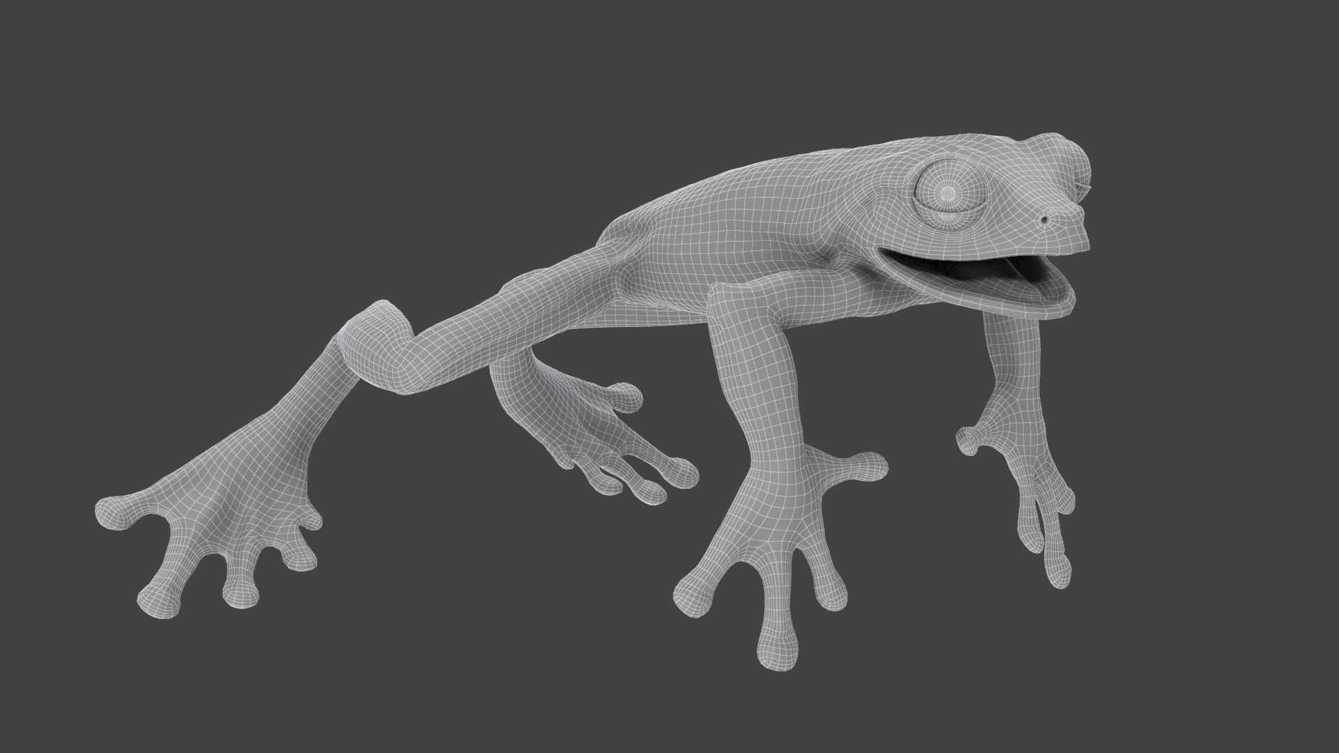 3D Tree Frogs Collection - TurboSquid 2136794