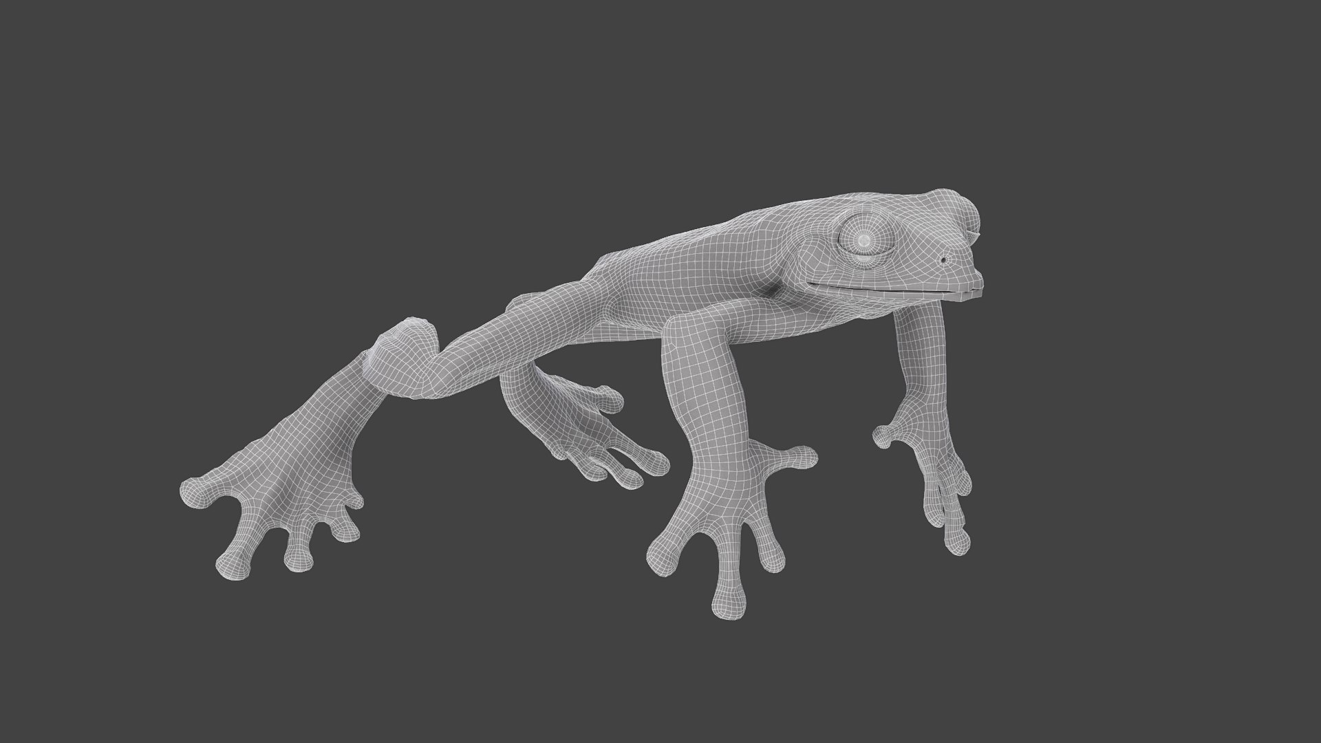 3D Tree Frogs Collection - TurboSquid 2136794