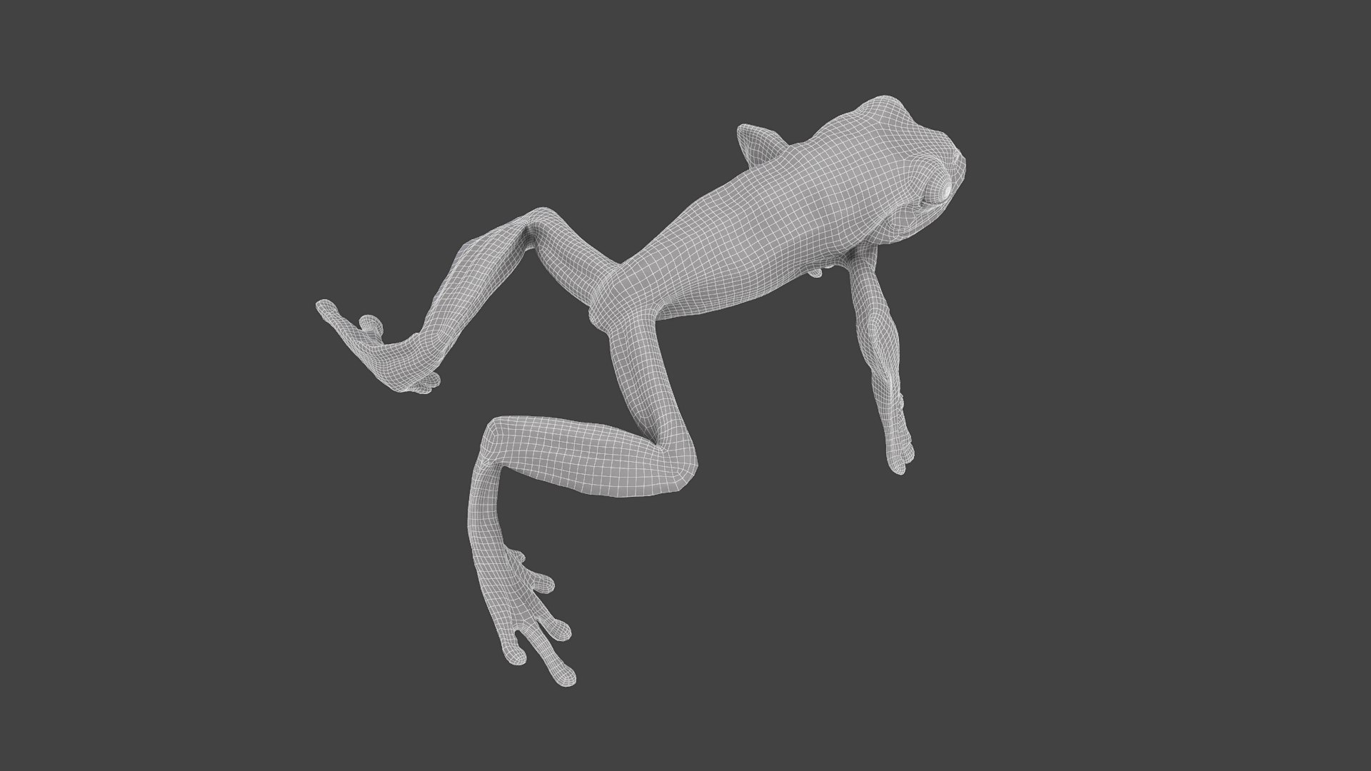 3D Tree Frogs Collection - TurboSquid 2136794