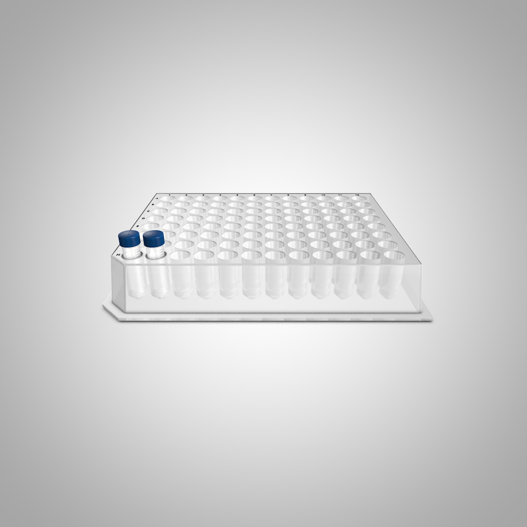 3D Plate - TurboSquid 1389185