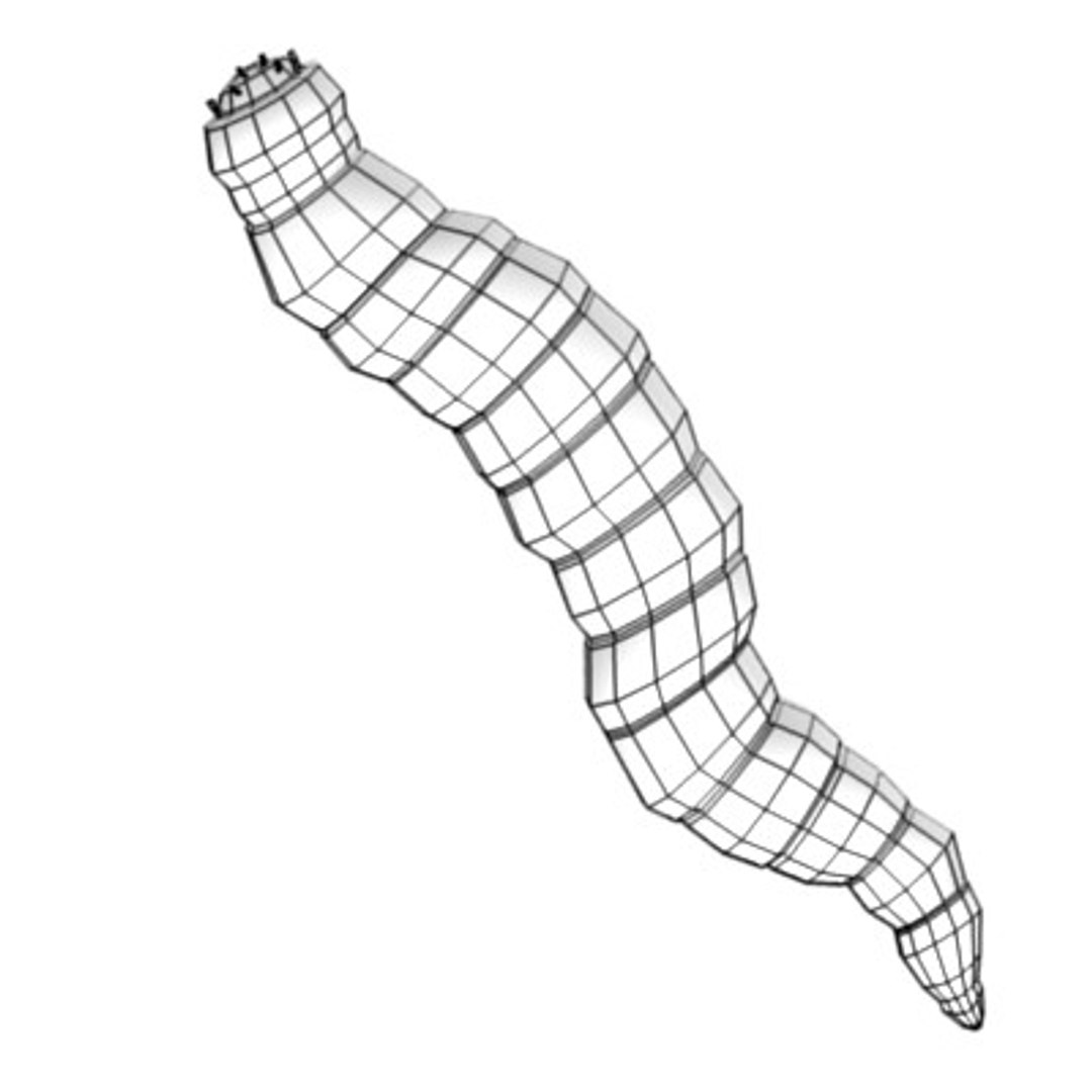 worm 3d model