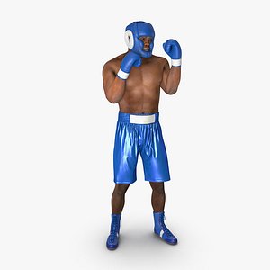 3D Boxer Models - Browse & Download Formats - TurboSquid