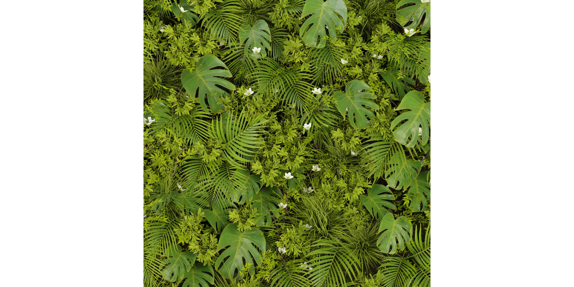 Collection Plant Vol 359 - Blender Model 3D Model - TurboSquid 2094293