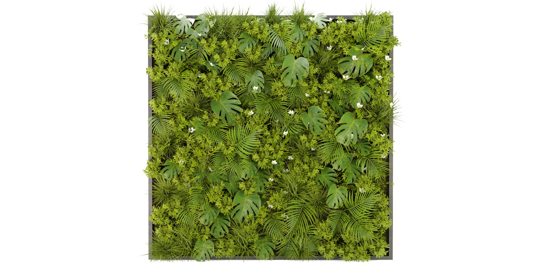 Collection Plant Vol 359 - Blender Model 3D Model - TurboSquid 2094293