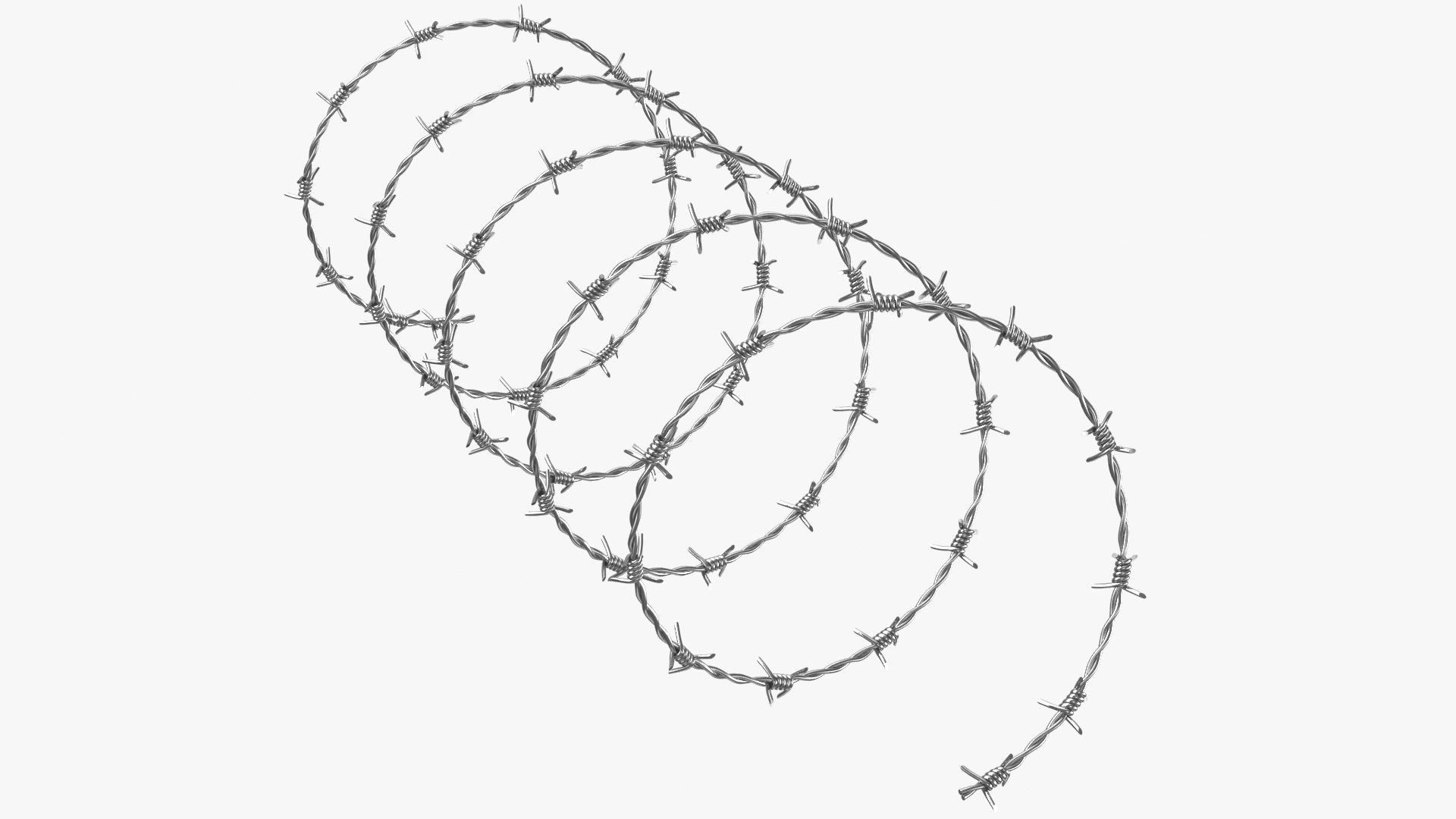curled barbed wire