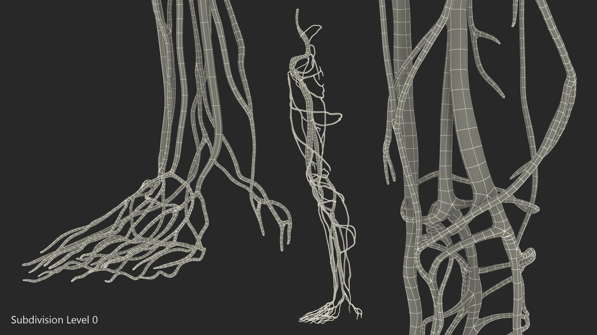 Human leg cardiovascular vascular model - TurboSquid 1459121