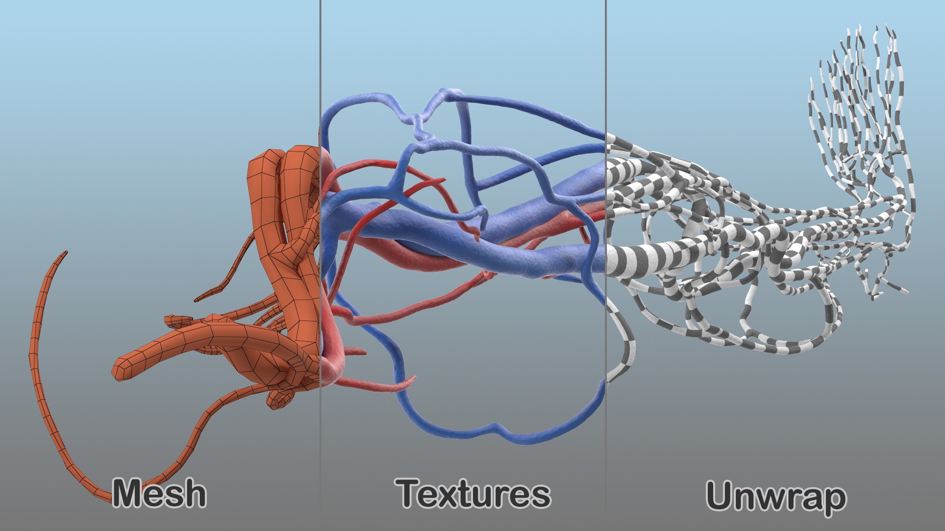 Human leg cardiovascular vascular model - TurboSquid 1459121