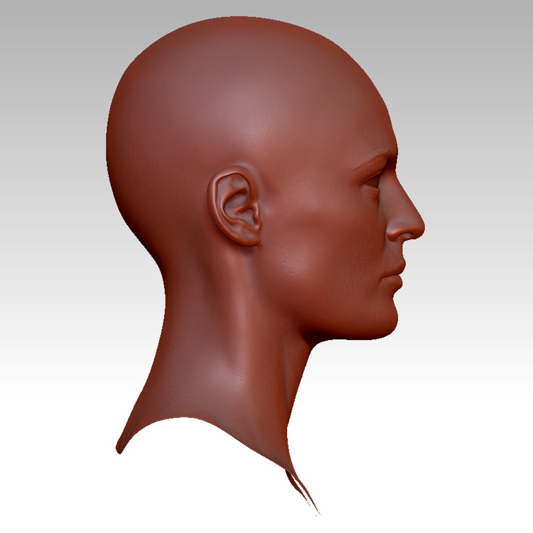 Ultra Head 3d Model