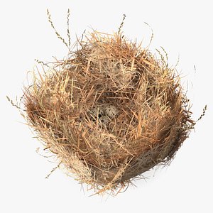 Free 3D Birds-Nest Models | TurboSquid