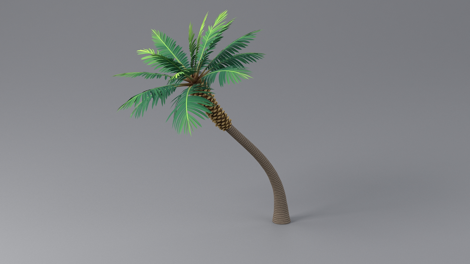 3D Cartoon Palm Trees Pack Model - TurboSquid 1904943