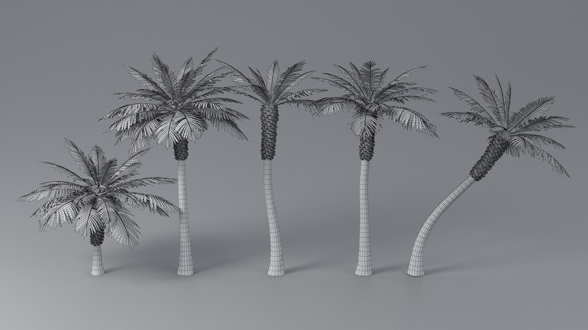 3D Cartoon Palm Trees Pack Model - TurboSquid 1904943