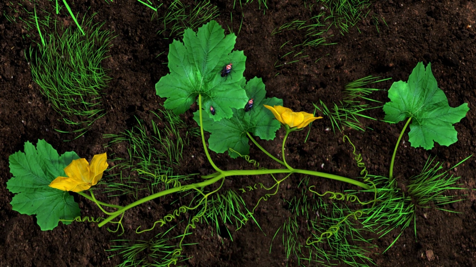 Mirids flower 3D model - TurboSquid 1261151