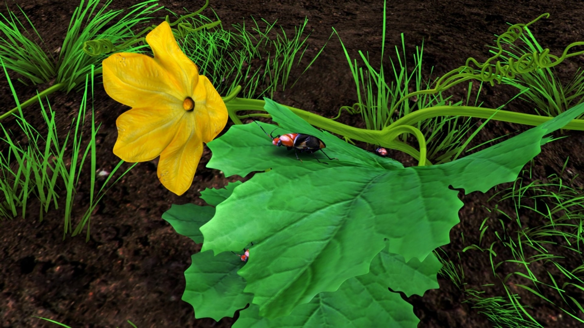 Mirids flower 3D model - TurboSquid 1261151