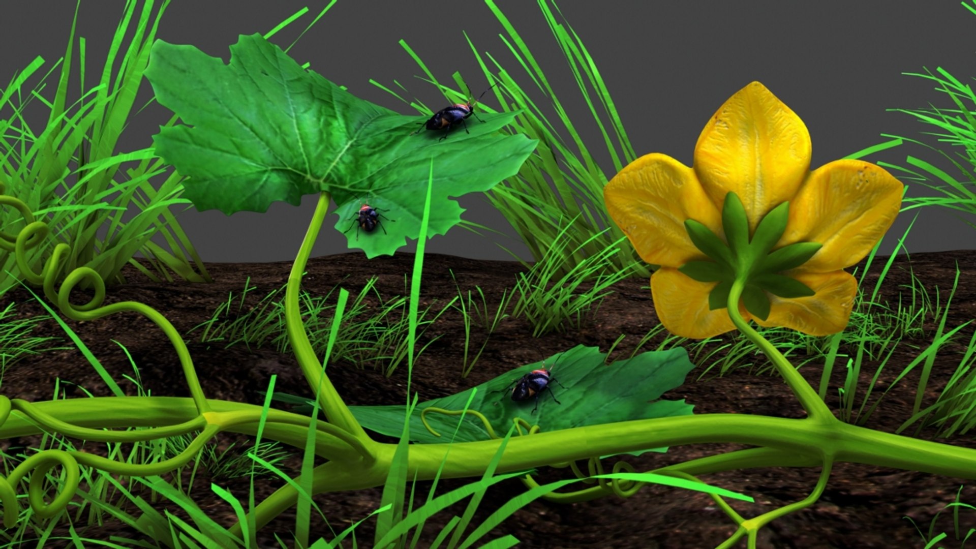 Mirids flower 3D model - TurboSquid 1261151