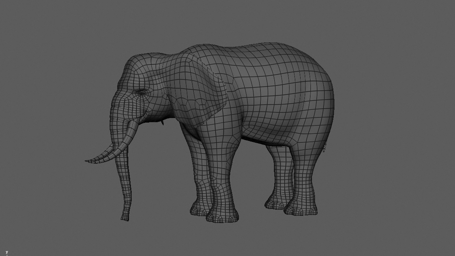 Elephant Model - TurboSquid 1846073