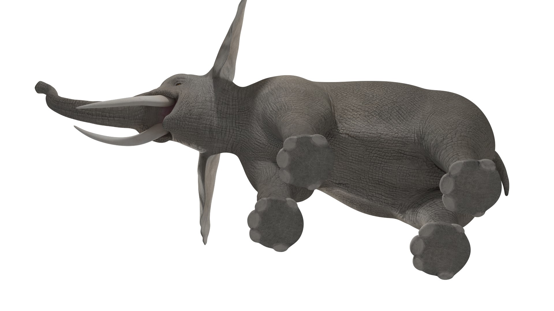 Elephant Model - TurboSquid 1846073