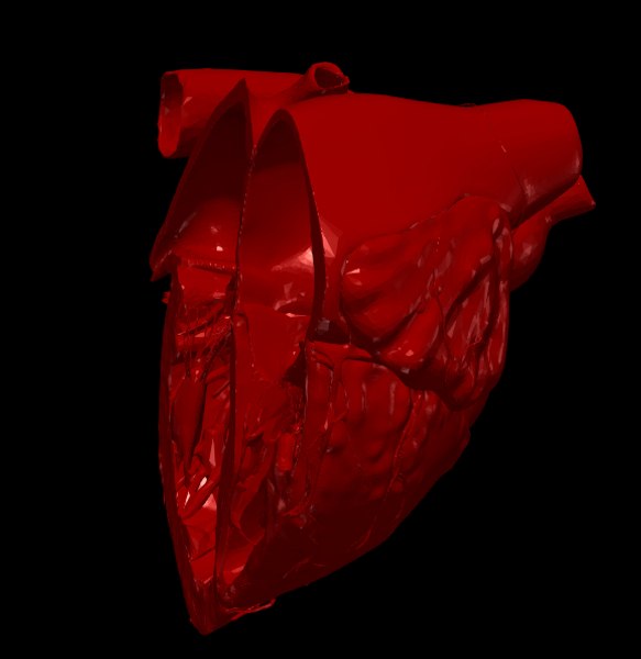 modelo 3d 3D Model of Heart Chambers - Apical View - TurboSquid 2076570