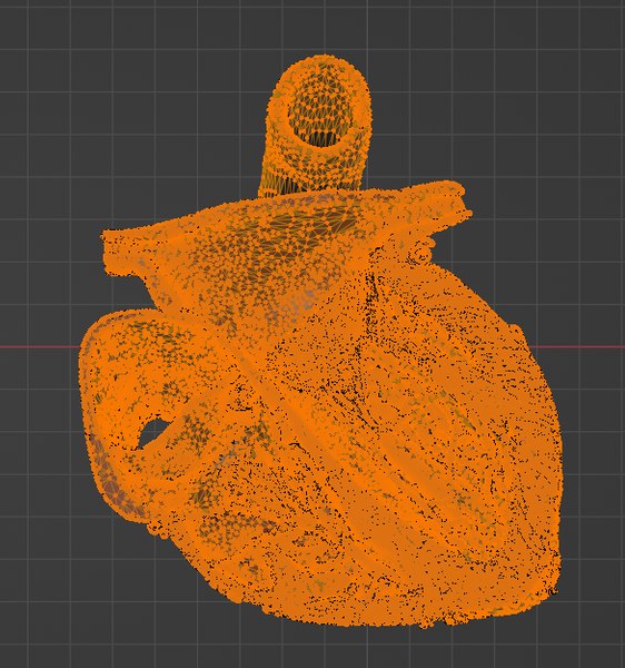 modelo 3d 3D Model of Heart Chambers - Apical View - TurboSquid 2076570