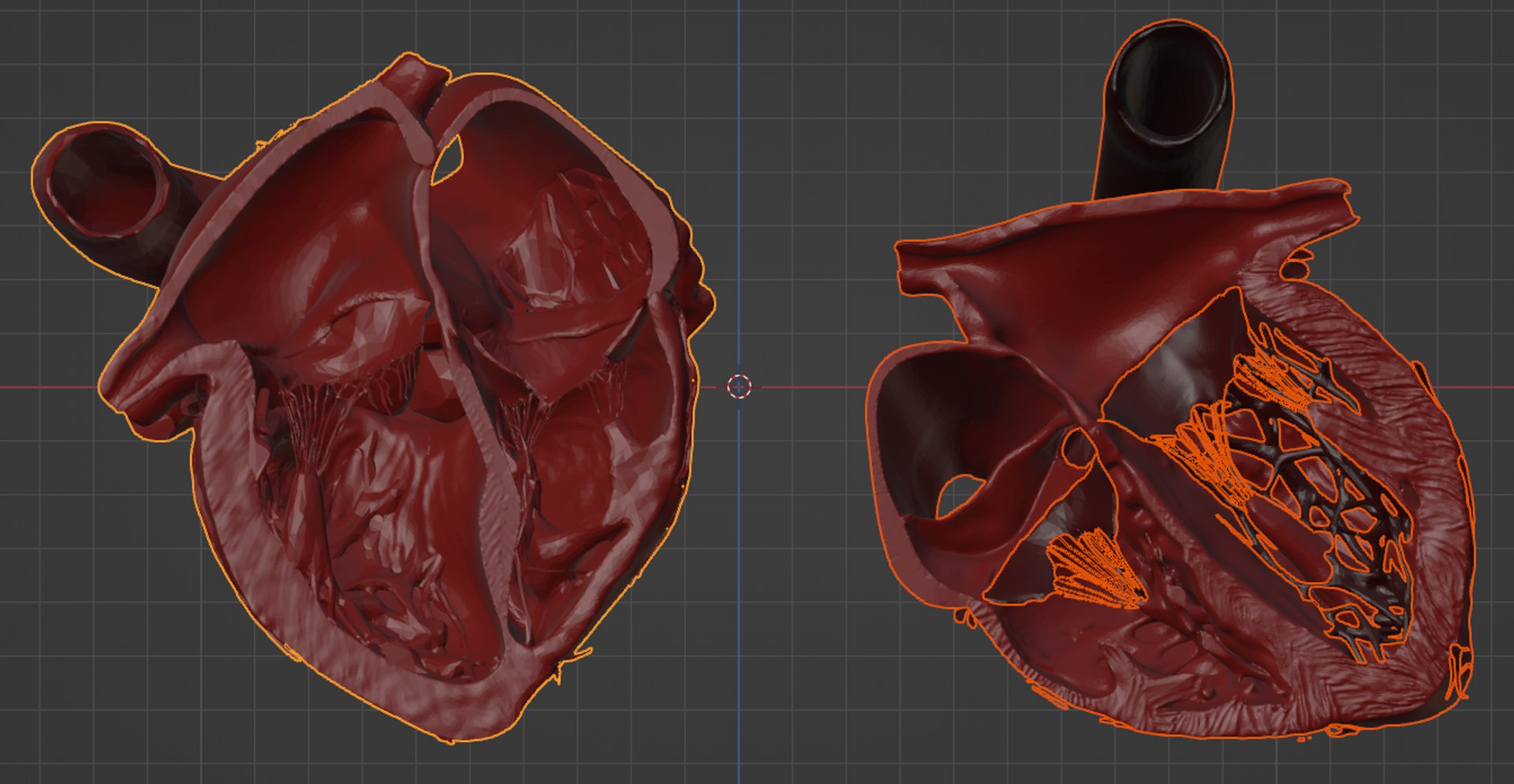 3D 3D Model of Heart Chambers - Apical View model - TurboSquid 2076570