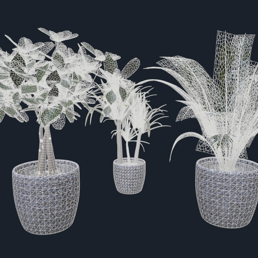 Indoor Plants Green Inspiration Pack 3D Model Model - TurboSquid 2005356