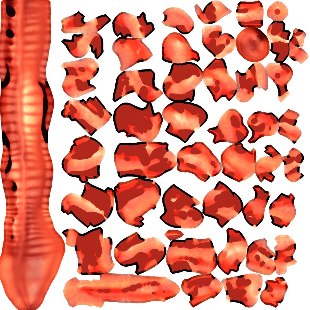 3D Intestines Human Anatomy Cross Section Model - TurboSquid 1355693