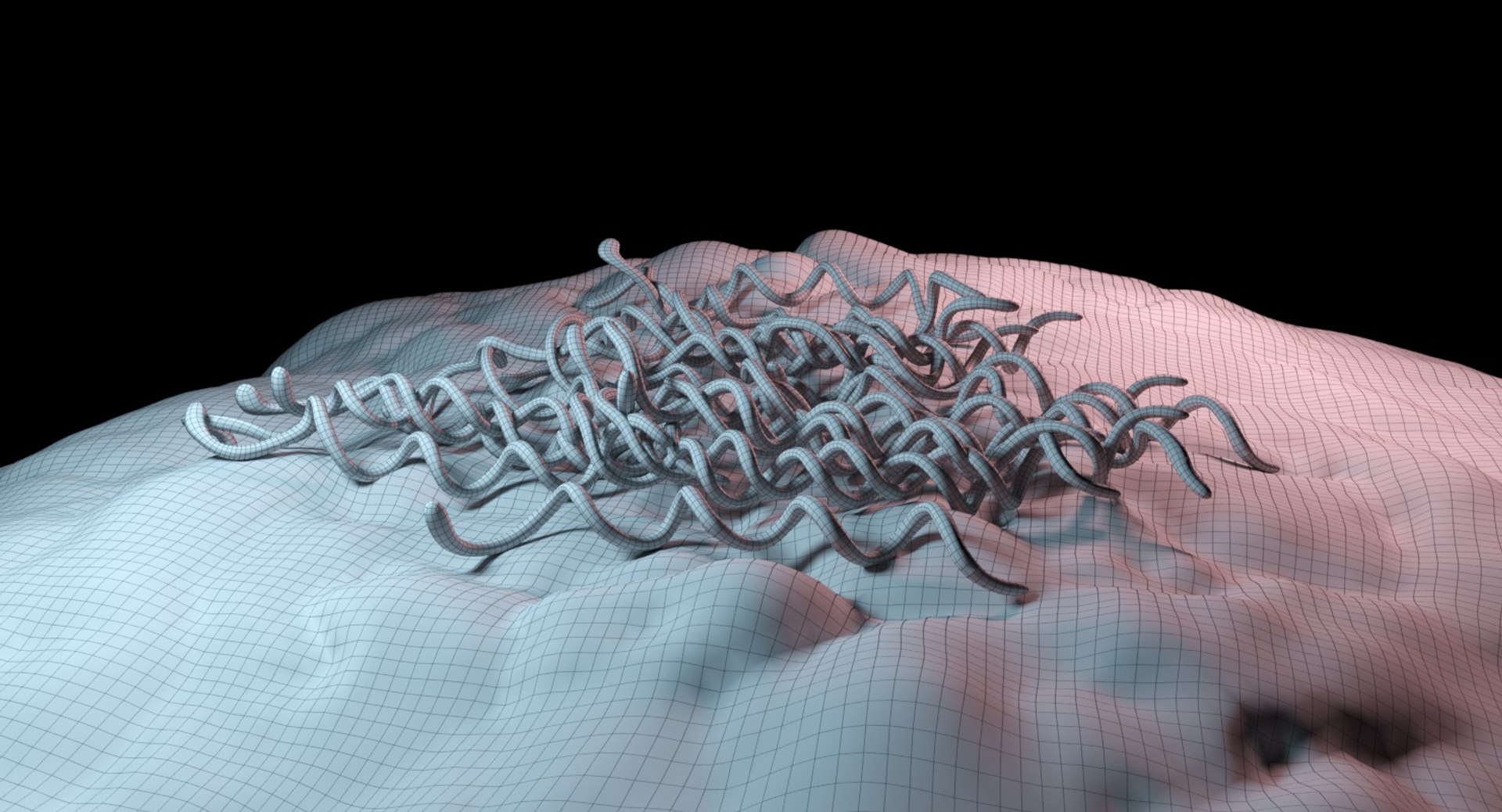 3D Syphillis Model - TurboSquid 1324264