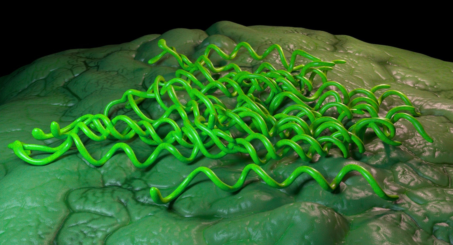 3D Syphillis Model - TurboSquid 1324264
