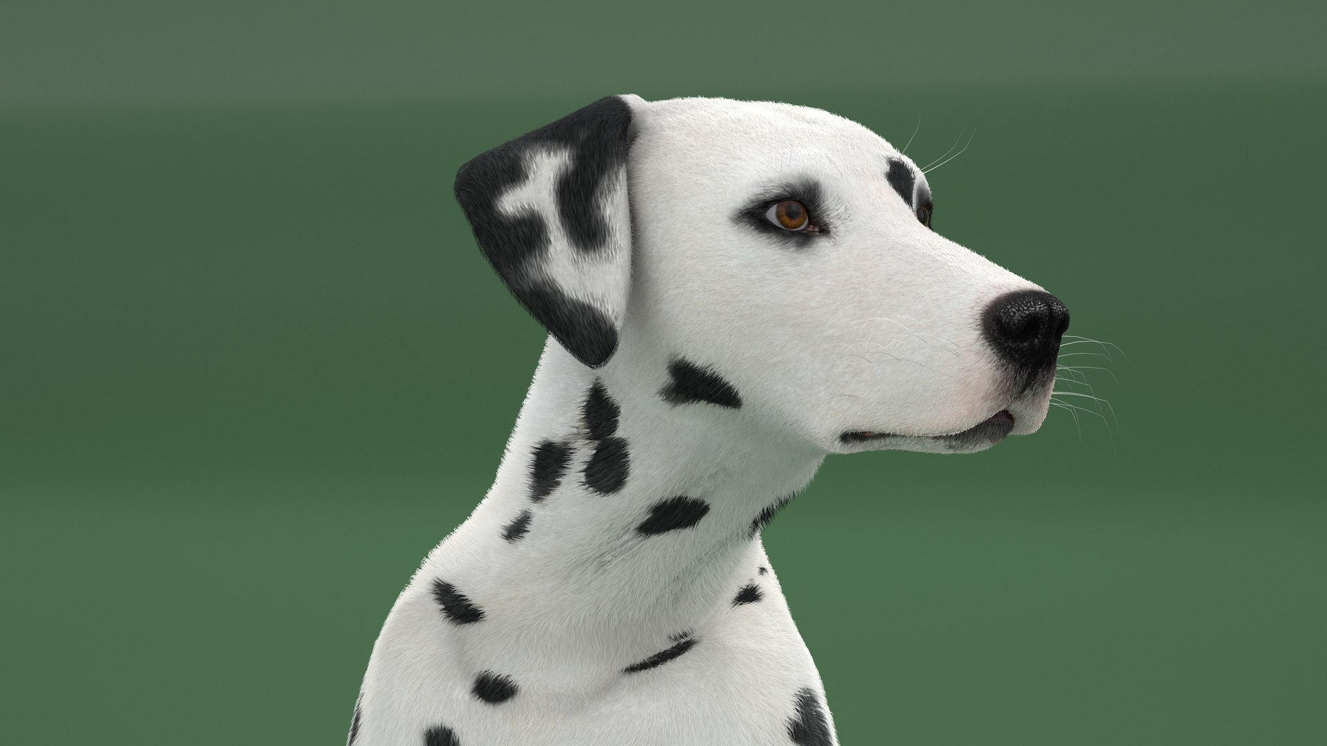 Dalmatian Dog Sitting Pose Fur 3D Model - TurboSquid 2234922