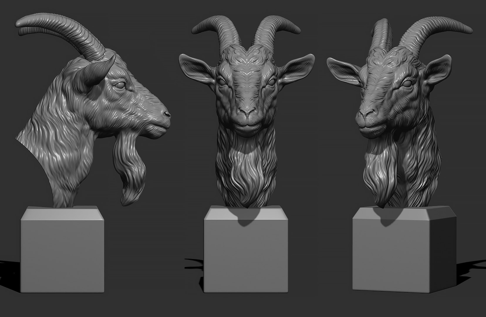 3D модель Goat head bust - TurboSquid 1954880