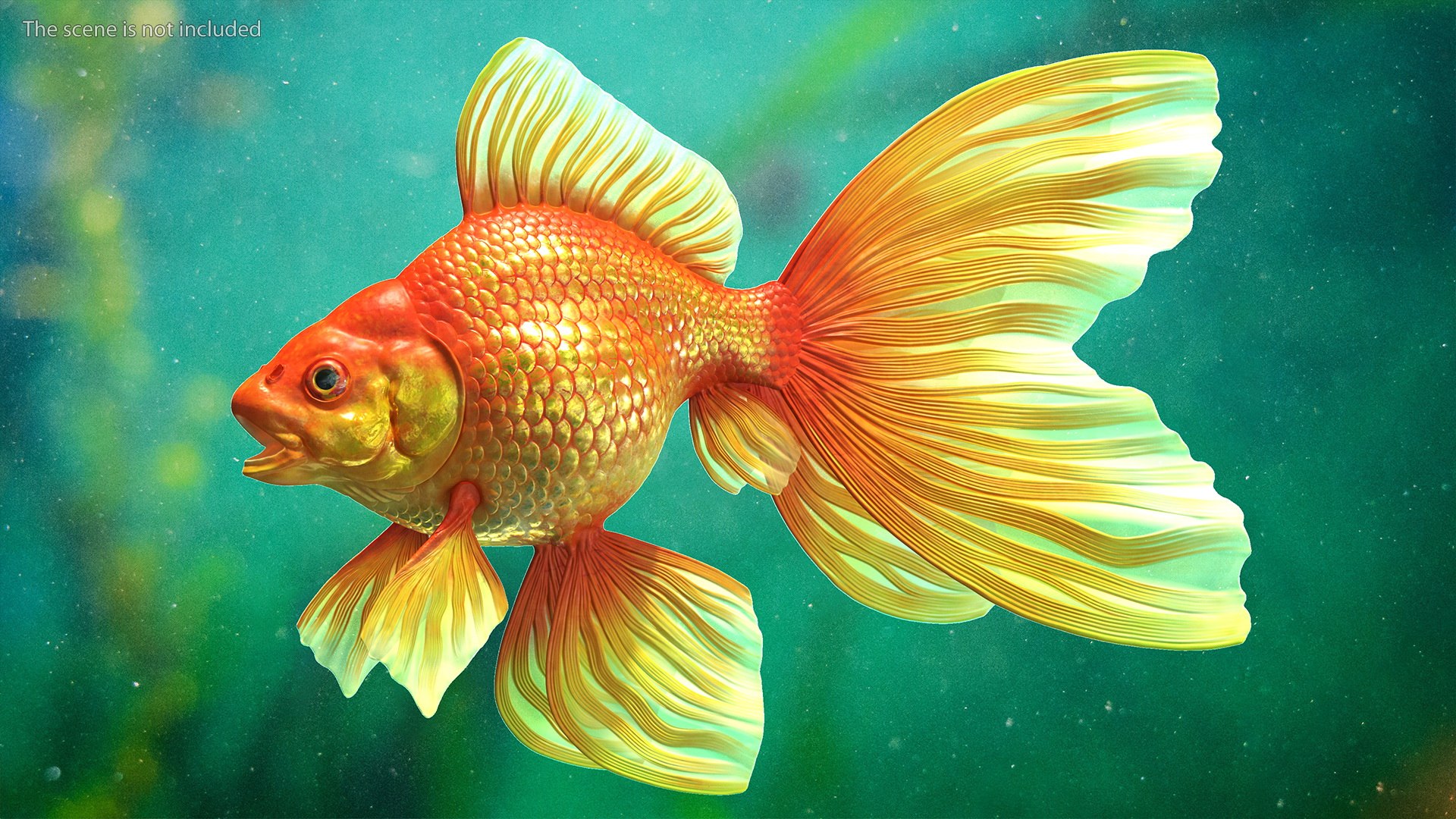 3D Orange Fancy Fantail Goldfish Rigged for Maya model - TurboSquid 1763772