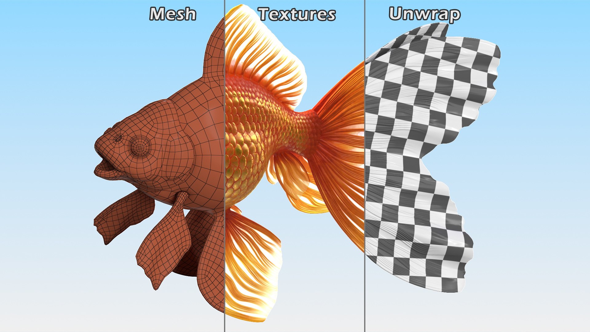 3D Orange Fancy Fantail Goldfish Rigged For Maya Model - TurboSquid 1763772
